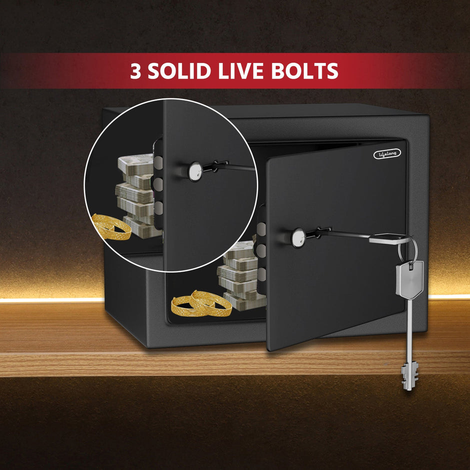 8.6 L Key-Lock Safety Locker for Home – Lifelong Online