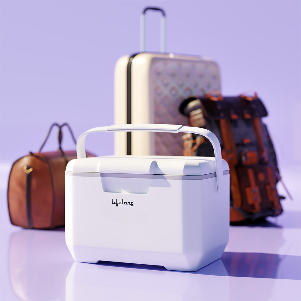 Lifelong Insulated Chiller Ice Box Standard Size for Travel Party Bar ...